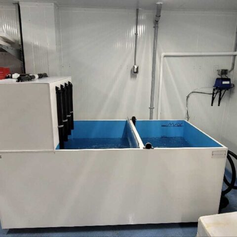 Développement Aqua - Choice #1 - Lobster tank manufacturer