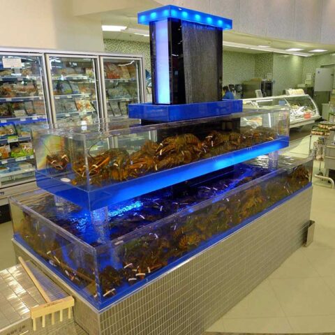 Lobster Tank Models - Aqua Development