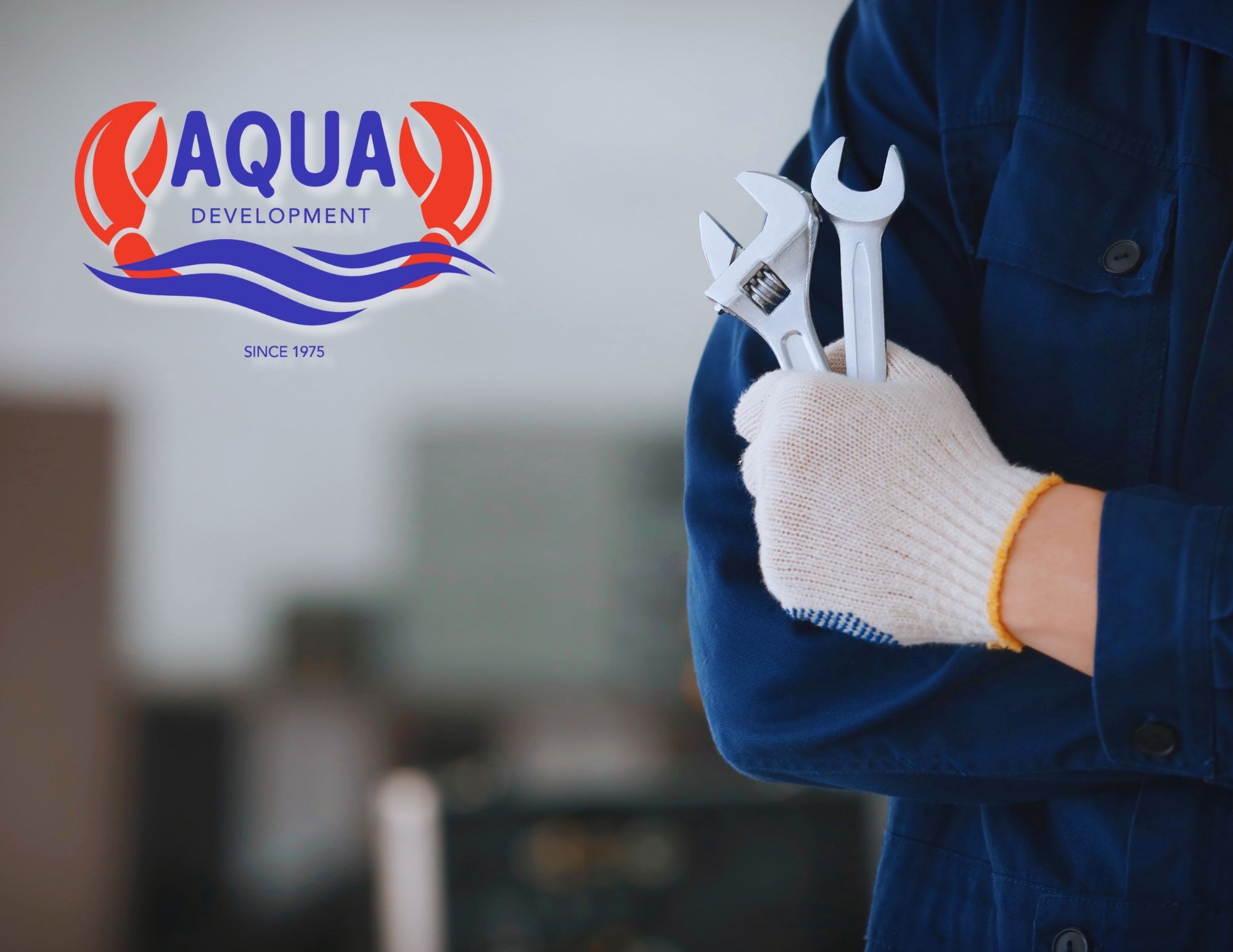 Services for Lobster Tank Maintenance - Your #1 Choice