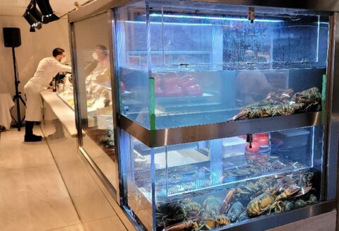 Lobster Tank Models - Aqua Development