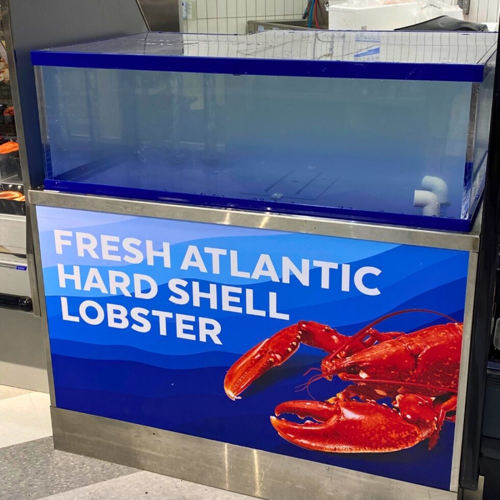 Lobster Tanks for Grocery Stores & Restaurant– Commercial Grade