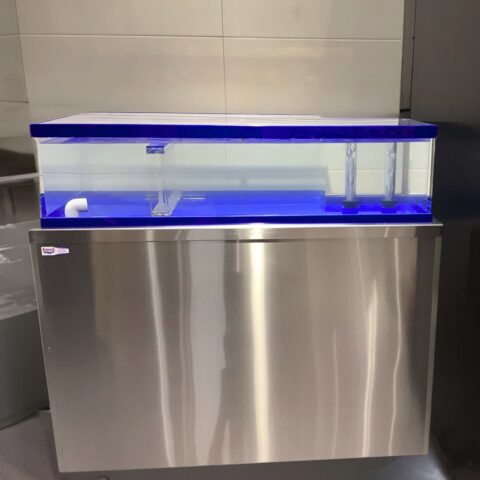 Lobster Tank Models - Aqua Development