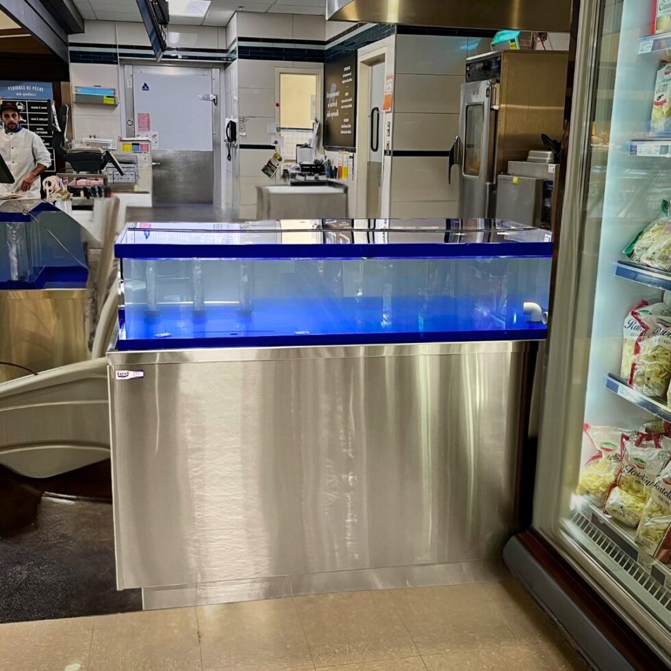 High Quality Lobster Tanks – Standard Models & Custom Designs