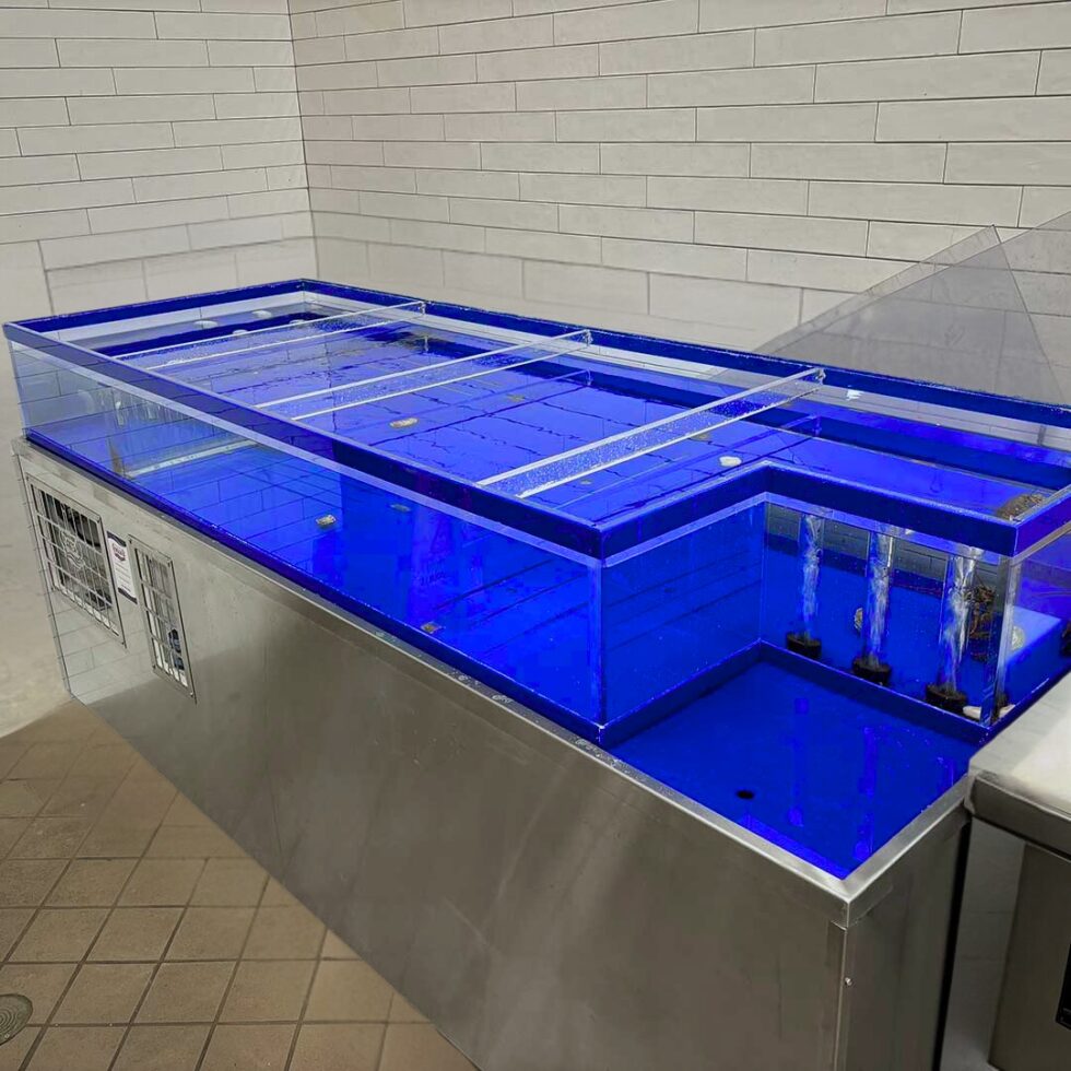 Lobster Tank Models - Aqua Development