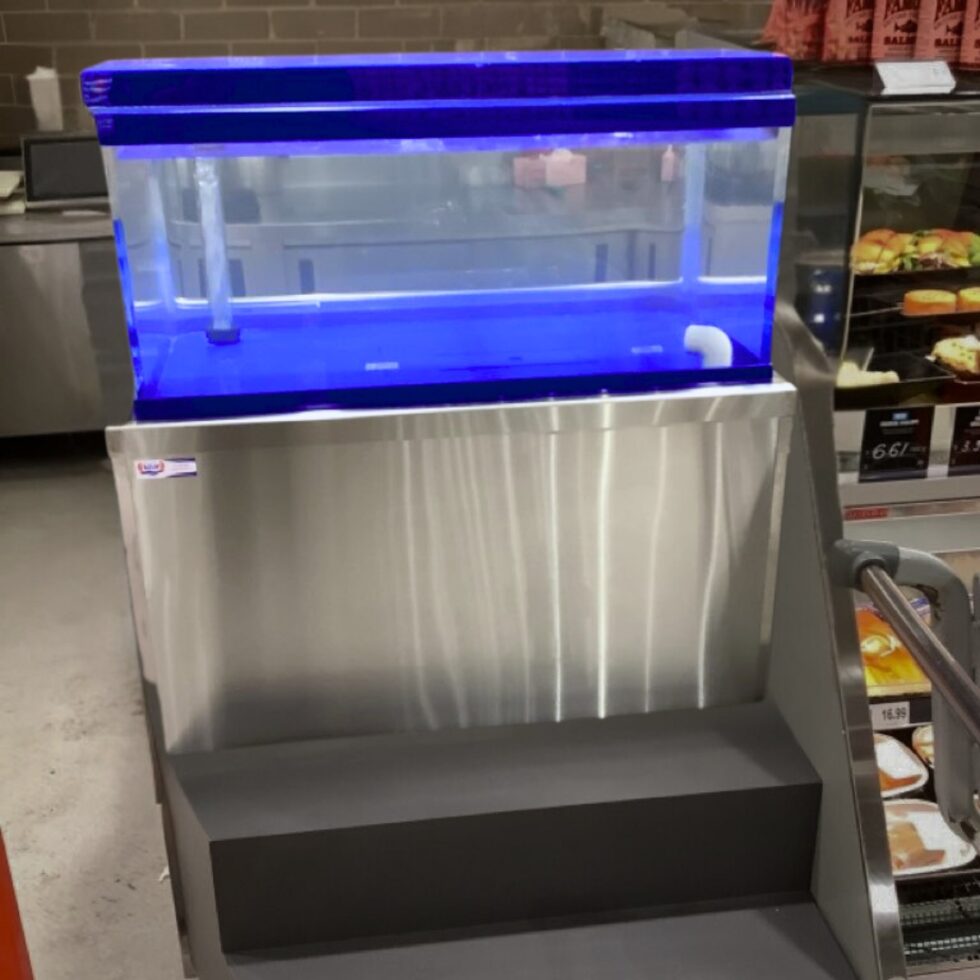 High Quality Lobster Tanks – Standard Models & Custom Designs