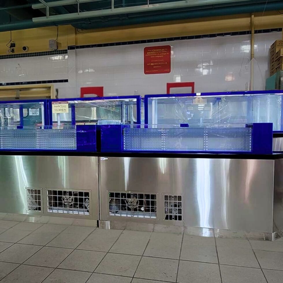 High Quality Lobster Tanks – Standard Models & Custom Designs